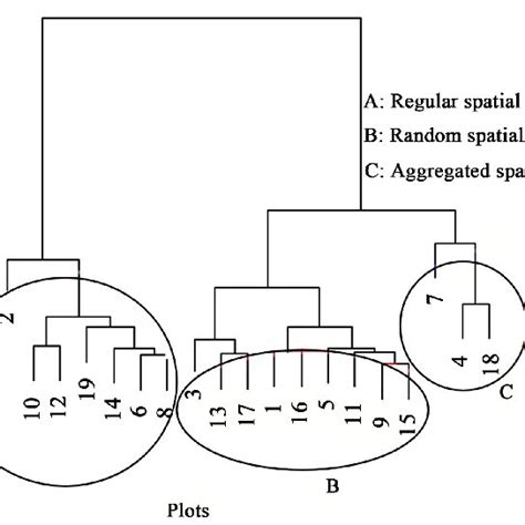 Representation Of The Hierarchical Cluster Analysis Set Up To