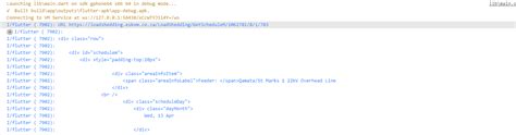 flutter html instance of future stack overflow