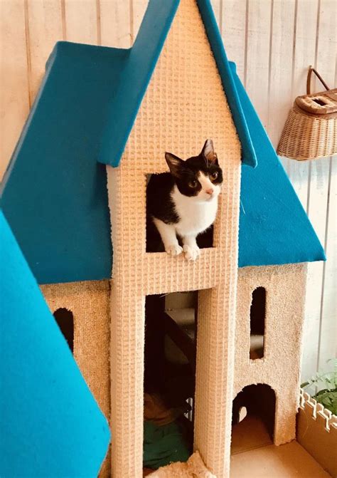 Diy Cat Castle Cardboard Play House Plans And Patterns Etsys Picks Badge