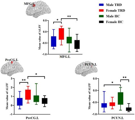 Brain Sciences Free Full Text Sex Differences Of The Functional