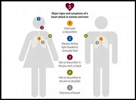 Heart Attack Warning Signs Women