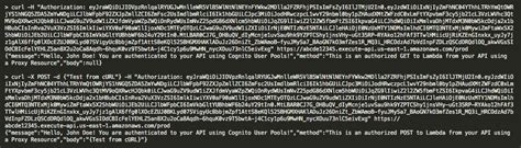 authorizing access through a proxy resource to amazon api gateway and