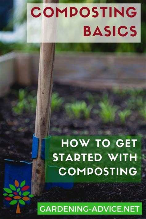 Composting Basics For Beginners Gardening For Beginners Home