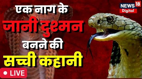 Live नाग ढूंढ़ ढूंढ़ कर काटता है अजीब दुश्‍मनी की कहानी Latest