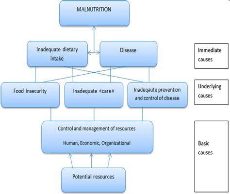 Unicefs Conceptual Framework For The Cause Of Malnutrition Adapted