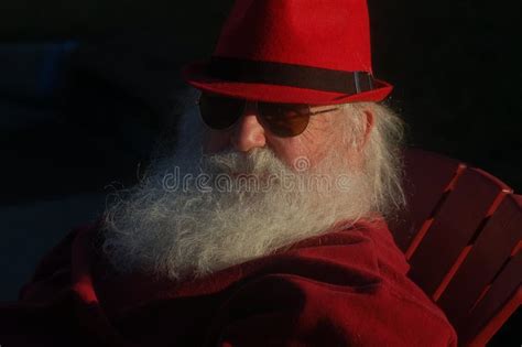 Mature Man With Long White Beard Stock Image Image Of Gray Hairy