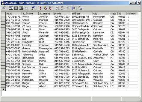ms sql server lesson 6 data entry