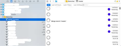 git xcode 9 source control navigator does not display all commits