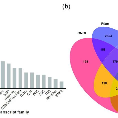 Identification Of The Transcription Factors Tfs And Long Non Coding