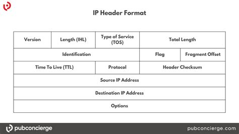 What Is An Ip Header Structure And Contents Pubconcierge Blog