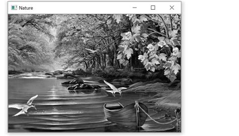 python opencv histograms of grayscale image