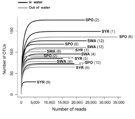 Rarefaction Curves Plotting The Number Of Reads By The Number Of Otus