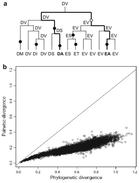 The Effect Of Substitution Saturation On Pairwise Distance Estimates