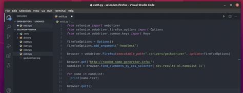 using selenium with firefox driver linux hint