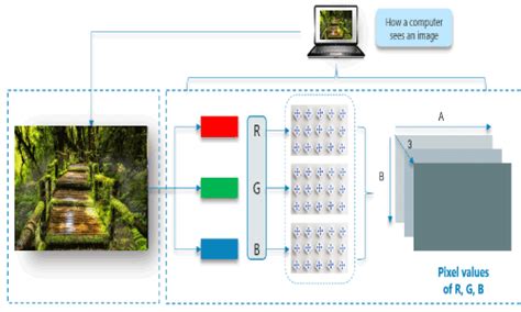 introduction of convolutional neural network in tensorflow javatpoint