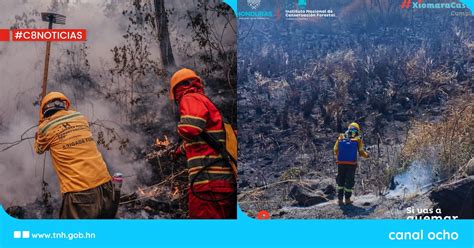 Icf Invierte L70 Millones En Actividades Operativas Para Combatir Incendios
