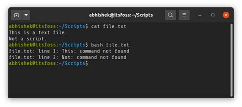 how to run a shell script in linux [essentials explained]
