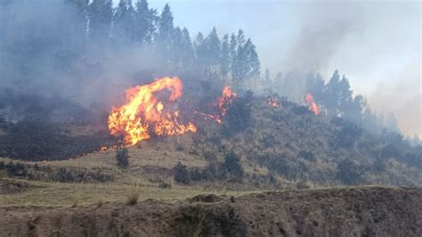 Los Incendios Forestales En La Sierra Sur También Afectarían Los