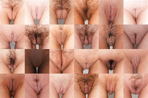 Big Labia Riesen Schamlippen Lange Schamlippen Porno Bilder Sex