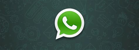 whatsapp logo randombrick de