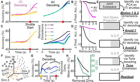New Bioarx Paper By Ehret Et Al Population Level Neural Correlates Of