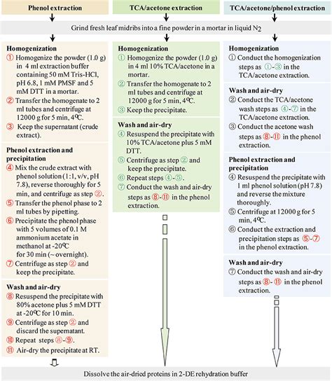 Frontiers Evaluation Of Three Protein Extraction Methods For Proteome