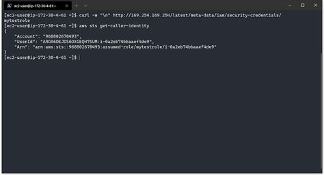 using aws iam roles in octopus octopus deploy