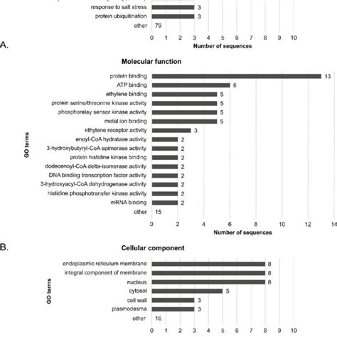 Gene Ontology Classification Of 20 Protein Analyzed With Blast2go