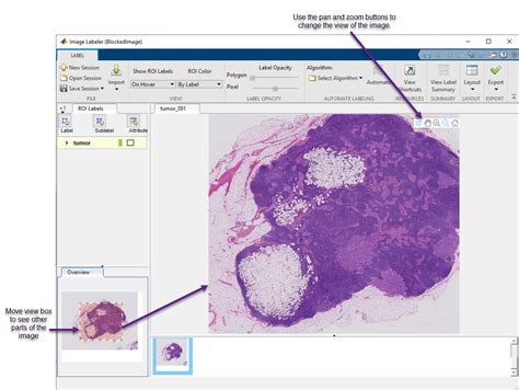 label large images in image labeler matlab and simulink mathworks