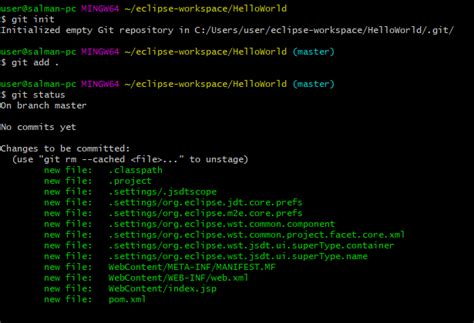 git add remote and init exopastor