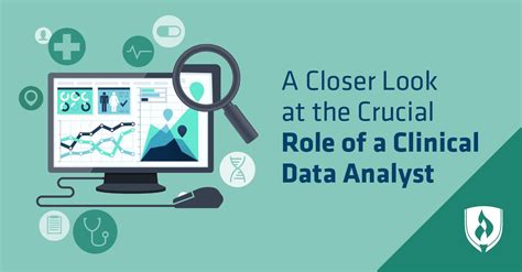 A Closer Look At The Crucial Role Of A Clinical Data Analyst Data