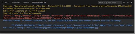 Deep Dive Into Terraform Provider Debugging With Delve