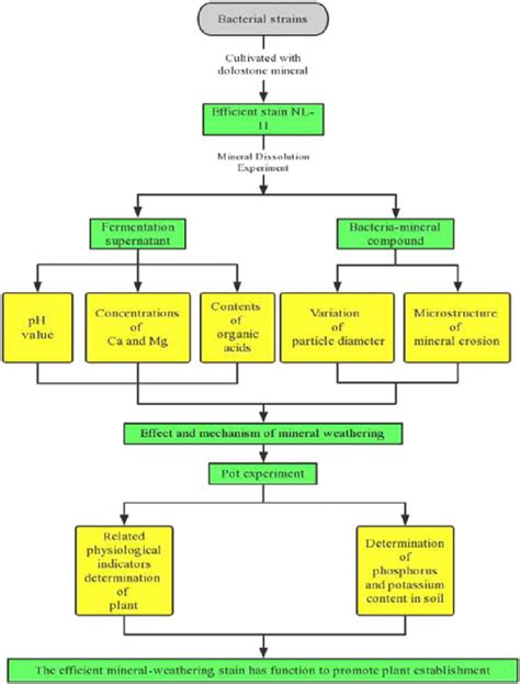 The Flow Chart That Outlines The General Methodological Steps [colour