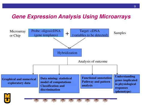 Ppt Microarray And Gene Expression Profiling Powerpoint Presentation