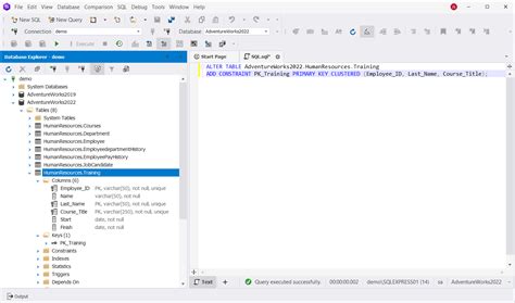 Primary Keys In Sql Server Definition Syntax Examples Devart Blog