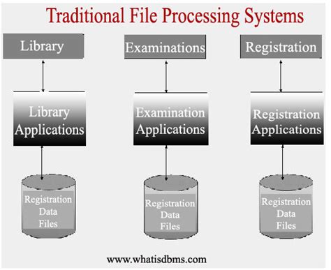 what is traditional file processing system and its characteristics