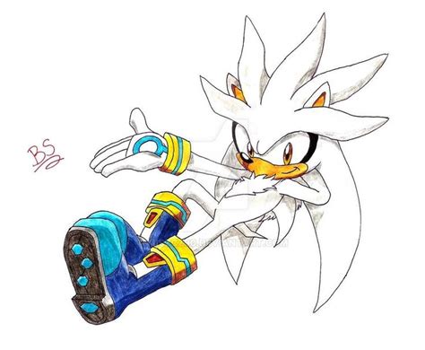 Hedgehogs By Miszcz90 On Deviantart Silver The Hedgehog Hedgehog
