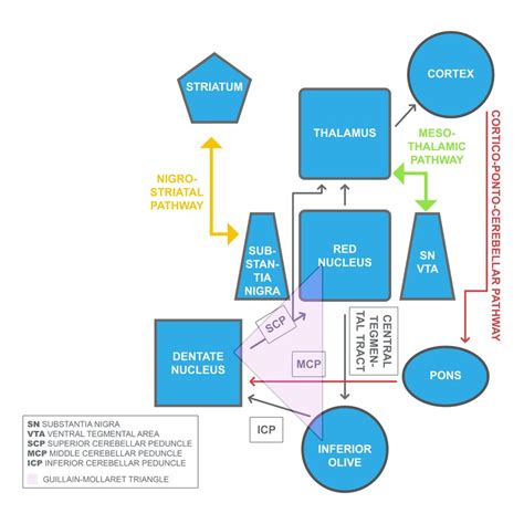 Schematic Representation Depicting 1 Connections Between The
