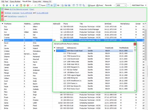 flyspeed sql query easy data filtration and ability to lookup for
