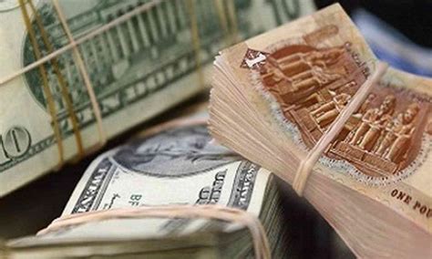 استقرار أسعار الدولار مقابل الجنيه المصري في بداية تعاملات اليوم