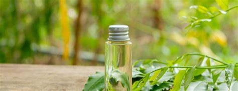 Neem Oil 10 Benefits For Hair And Skin Holland And Barrett