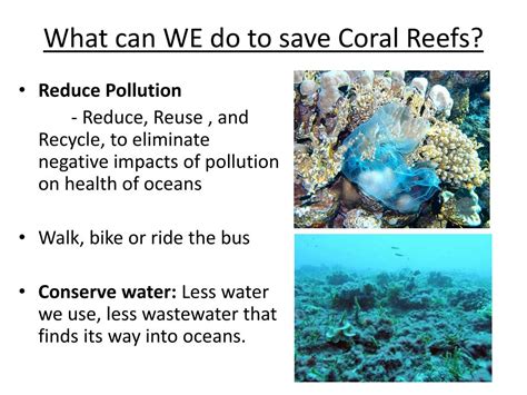 Ppt Coral Reefs Powerpoint Presentation Free Download Id 6677649