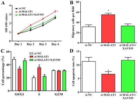 Long Non‑coding Rna Malat1 Suppresses The Proliferation And Migration