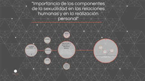 Importancia De Los Componentes De La Sexualidad En Las Relac By Abiel