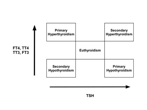 Laboratory Testing In Hyperthyroidism