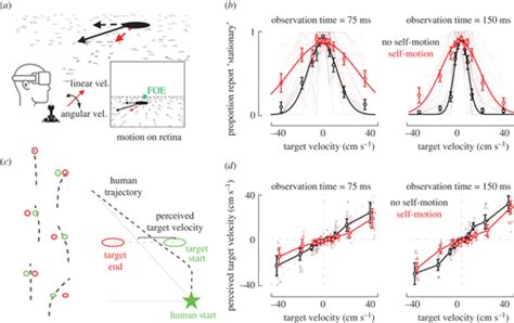 Causal Inference During Closed Loop Navigation Parsing Of Self And