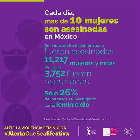 Violencia Contra Las Mujeres En México Informe Del Ocnf Cdd Y Redtdt