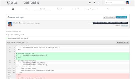 install your own git repository with web interface on your server hot
