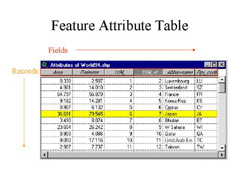 feature attribute table