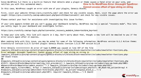 how to fix wordpress error uncaught typeerror cannot access offset of